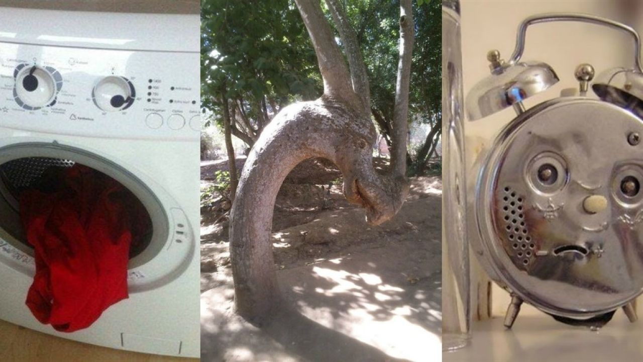 8 objetos inanimados que parecen tener vida propia