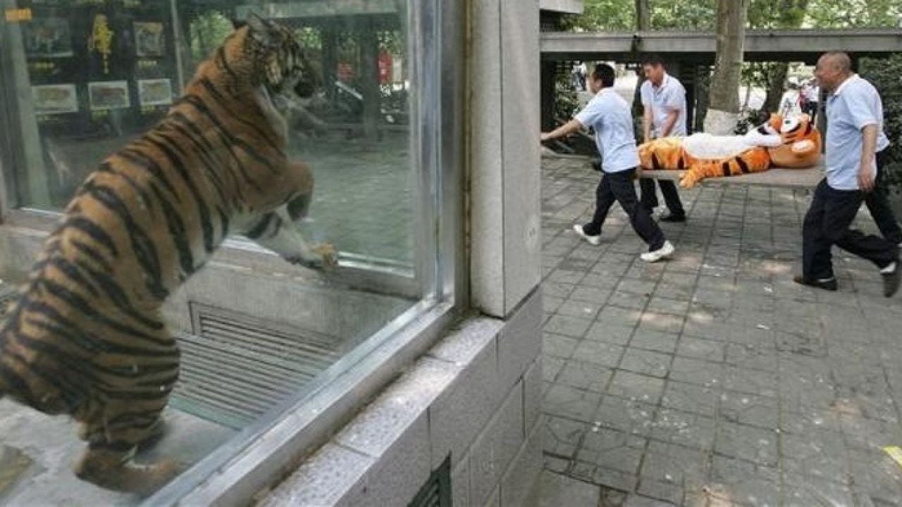 Las 8 fotos más raras de la historia para las que no encontramos ...