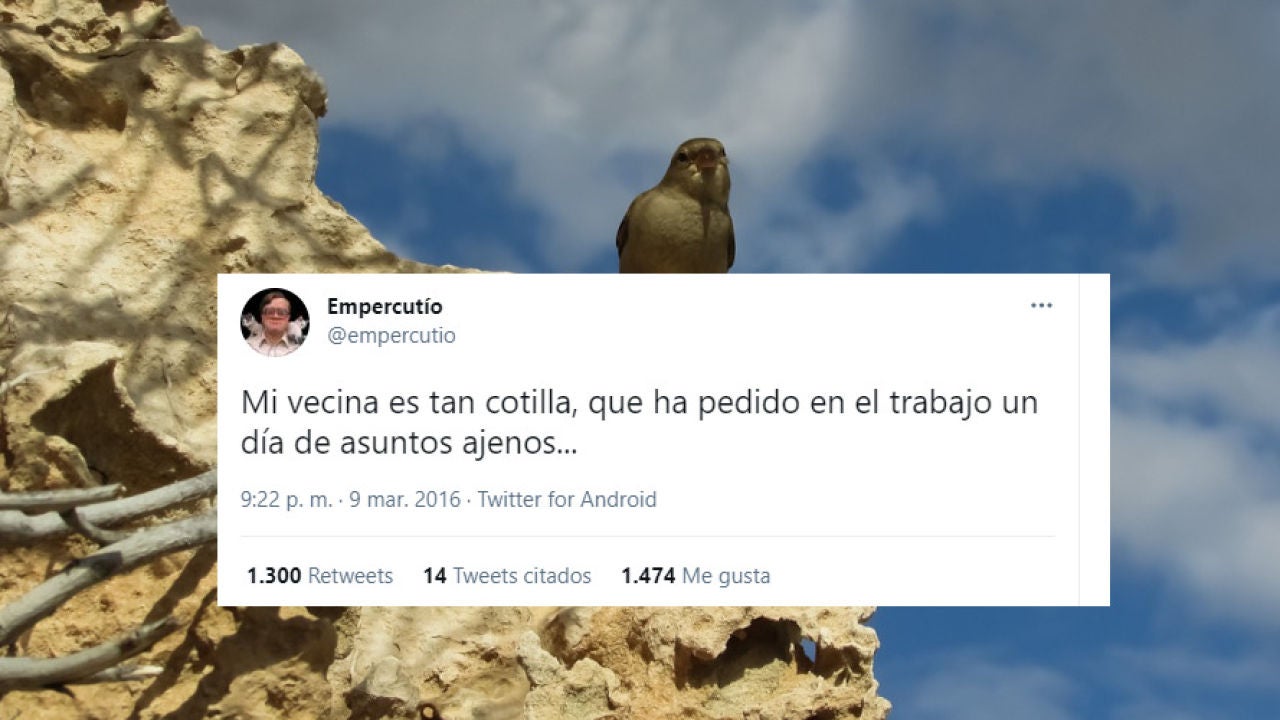 ¿Por qué nos gusta cotillear? Los mejores chistes y tuits de humor ...