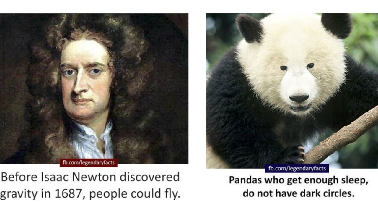 8 hechos increíbles que son reales al cien por cien