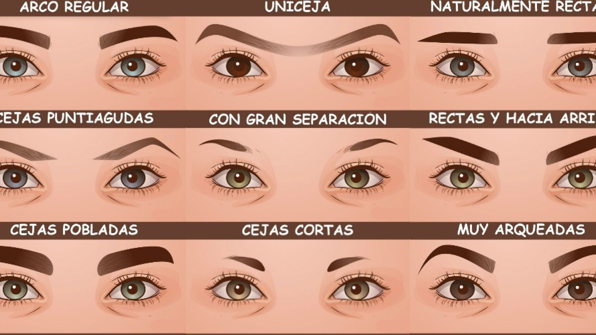 ¿Cómo son tus cejas? Su forma dice mucho de tu personalidad
