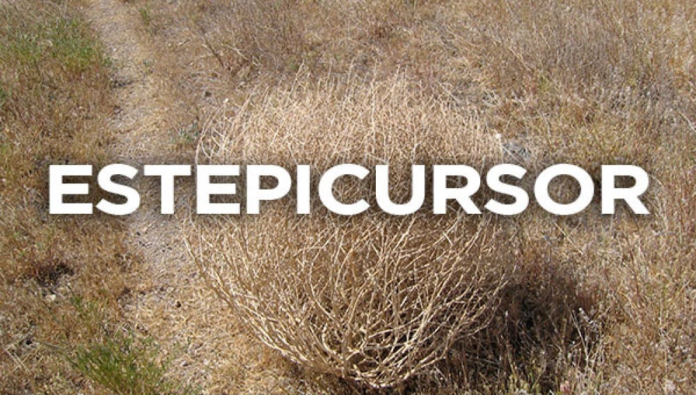 La espuma de la cerveza y otras ocho cosas que no sabias que tenian nombre