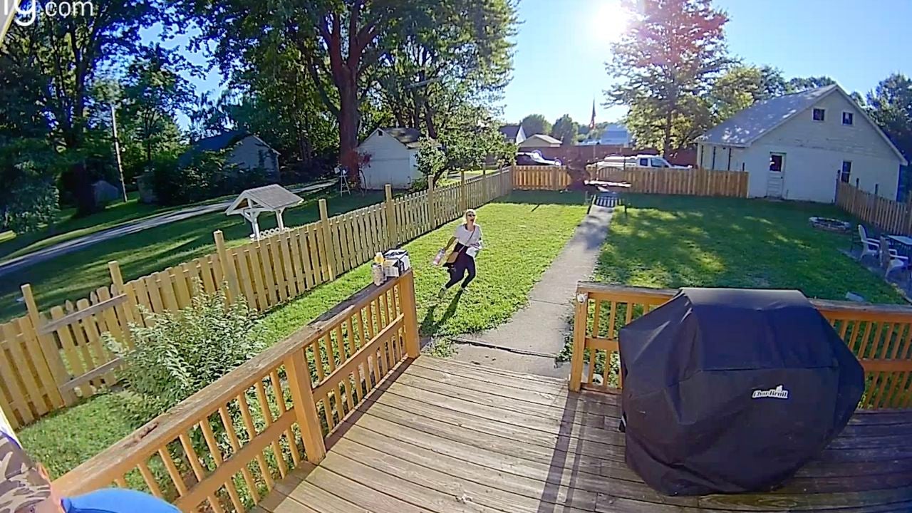 VÍDEO: El impactante vídeo de un cuervo atacando a una mujer en la ...