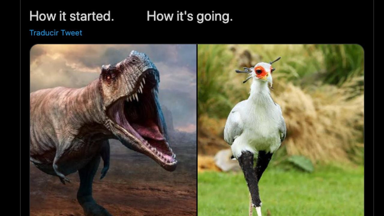 "Cómo empezó / cómo va": los mejores memes de la última tendencia viral