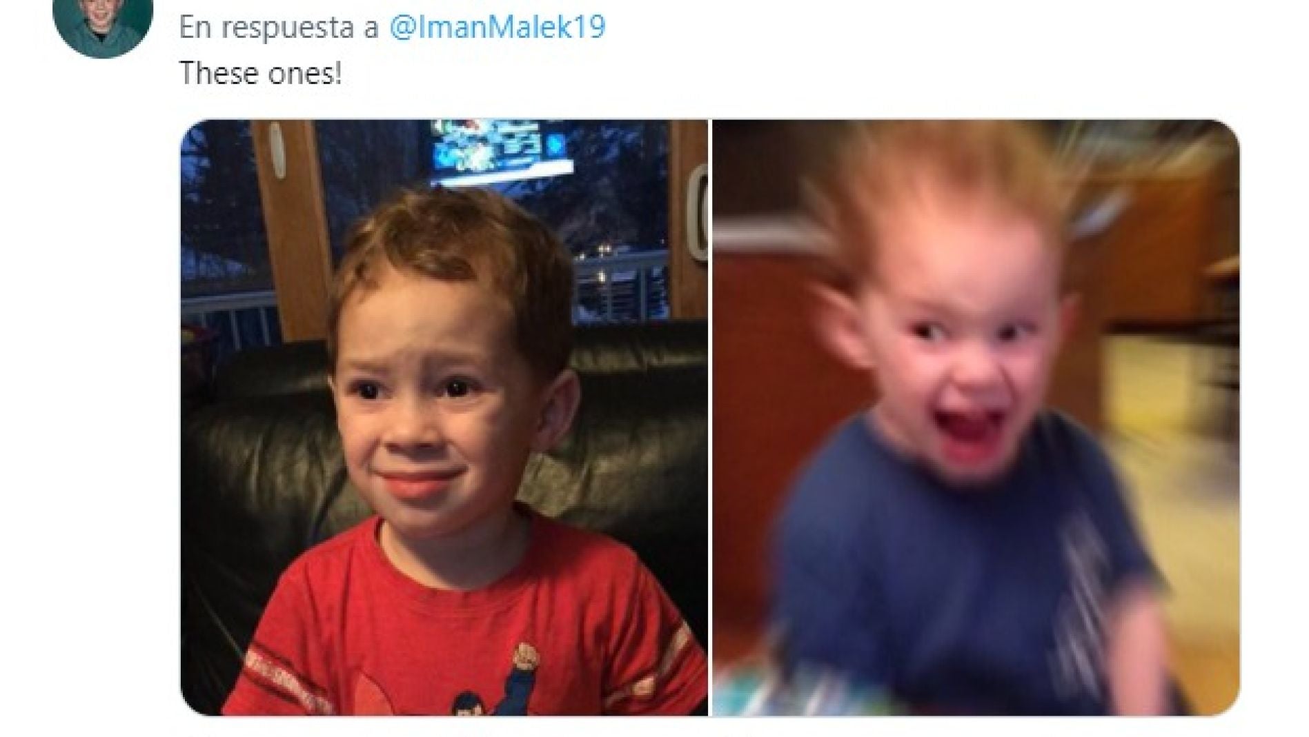 Así ha crecido Gavin, el niño protagonista de varios de tus memes favoritos