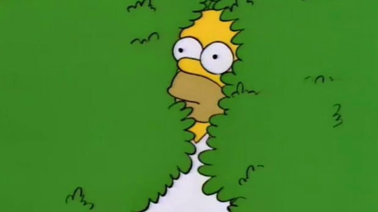 El meme de Homer entre arbustos se convierte en unas zapatillas que ...