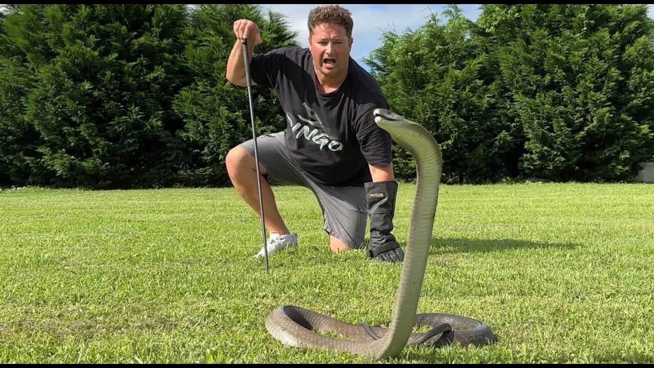 Muere un youtuber sudafricano tras ser atacado por una cobra